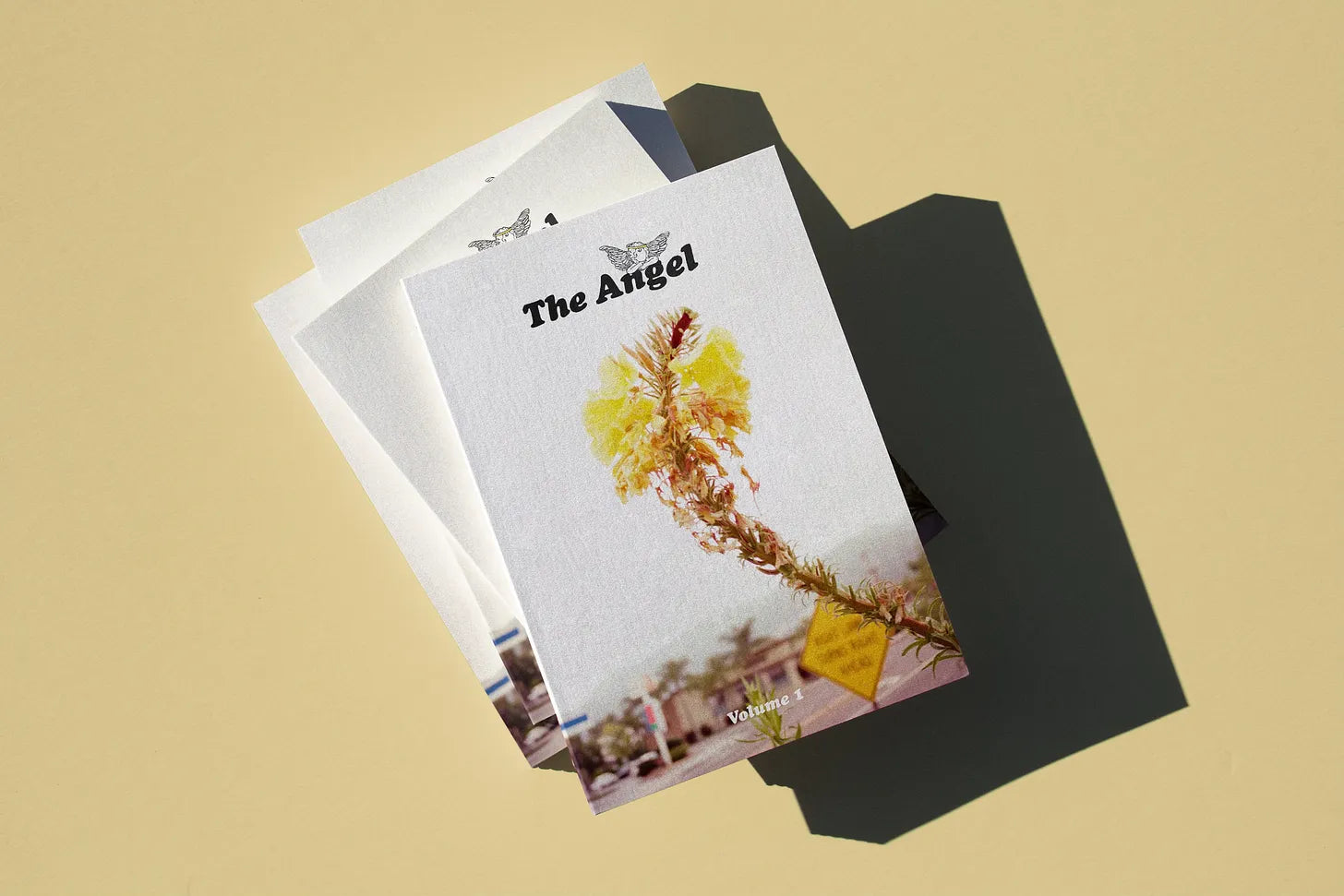 The Angel: Volume One – Bucatini